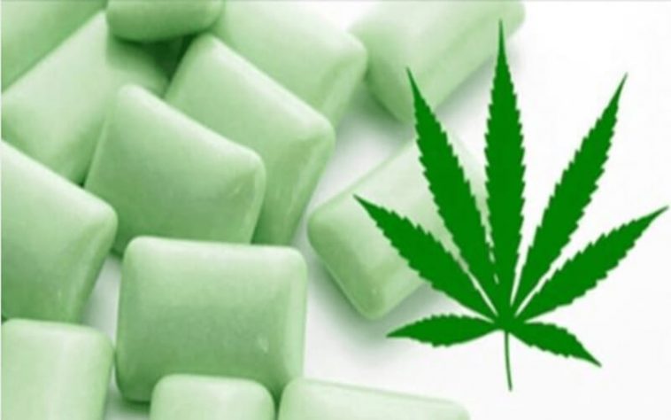 Un chewing-gum au cannabis pour soulager les douleurs de la ...
